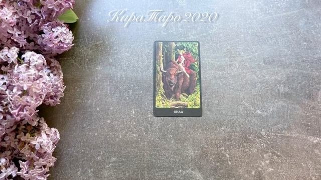 обзор описание колоды Таро славянских легенд. #таро