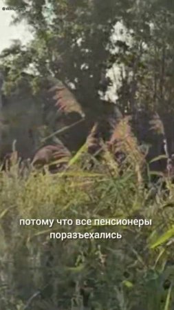 "Не верь глазам своим." #амурскаяобласть #шуткаюмора  #shorts #short