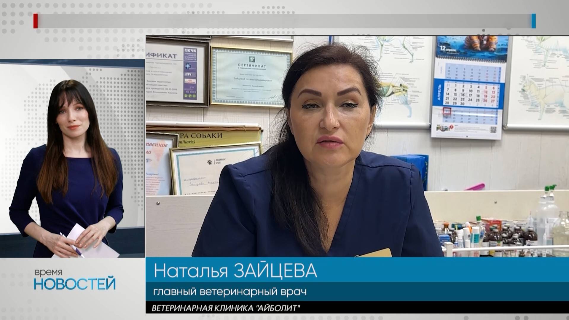 Как уберечь себя и своих питомцев от заражения бешенством?