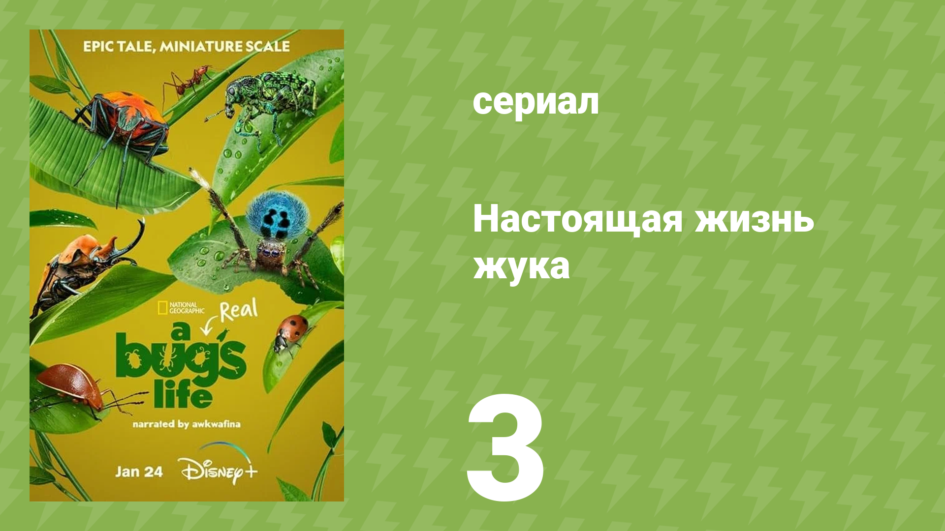 Настоящая жизнь жука 1 сезон 3 серия «Заботливая ферма» (документальный сериал, 2024)