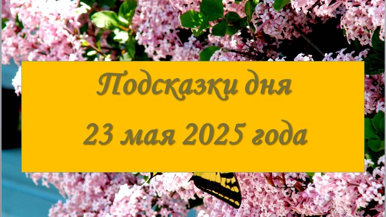 Гороскоп на 23 мая 2025 года (общий, по показателям дня)