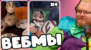 [T2x2 смотрит ВЕБМЫ ТГ] ЗАСМЕЯЛСЯ - ЗАПЛАТИЛ #4
