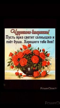 Прекрасного вторника!