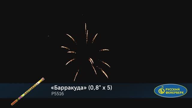P5516 Барракуда