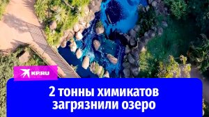Грузовик вылил тонны красителя в озеро в Сан-Паулу