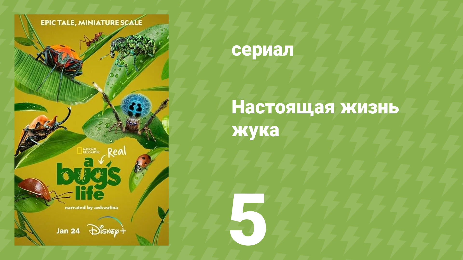 Настоящая жизнь жука 1 сезон 5 серия «Земля гигантов» (документальный сериал, 2024)