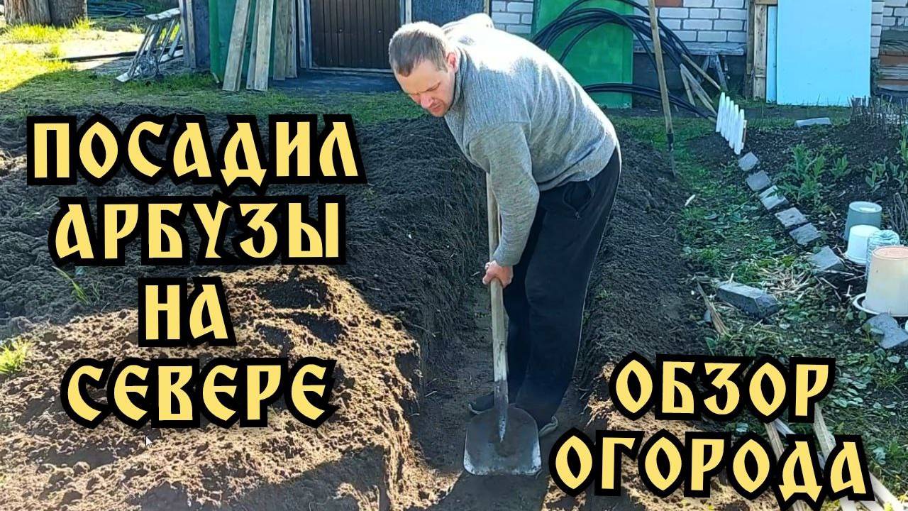 На даче. Обзор огорода. Посадка арбузов и дынь.