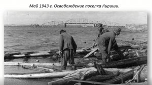 Кириши в годы войны