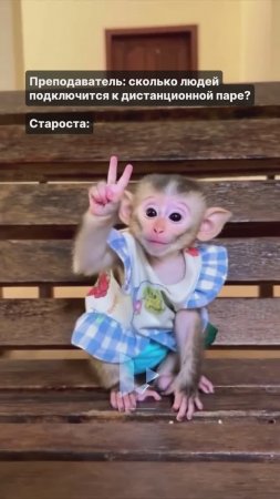 Дистанционные пары...
