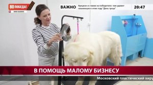 Из актеров в предприниматели