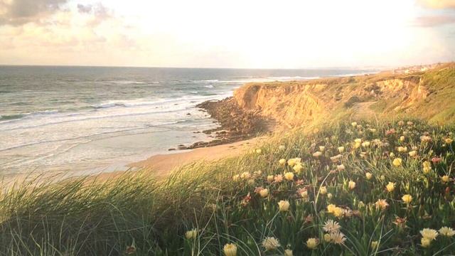 Генеративный аудиотранс