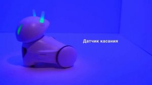 Обучающий Робот Photon | Ascreen