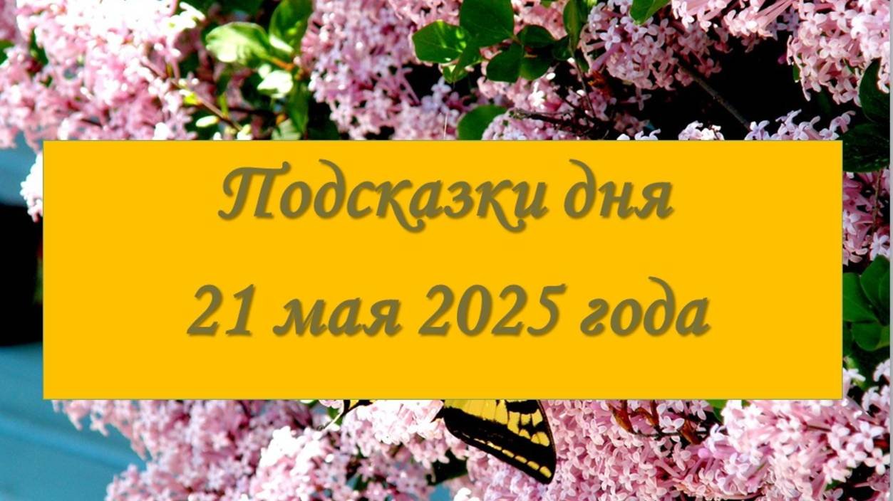 Гороскоп на 21 мая 2025 года (общий, по показателям дня)