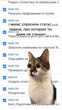 жиза: когда спросили статус задачи, про которое ты не слышал