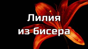 Цветок лилии из бисера круговым плетением ёлочка.