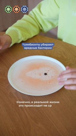 Объясняем сложные вещи доступным языком. Ваш кишечник - это целый город! 🏘️ #здоровье #shorts