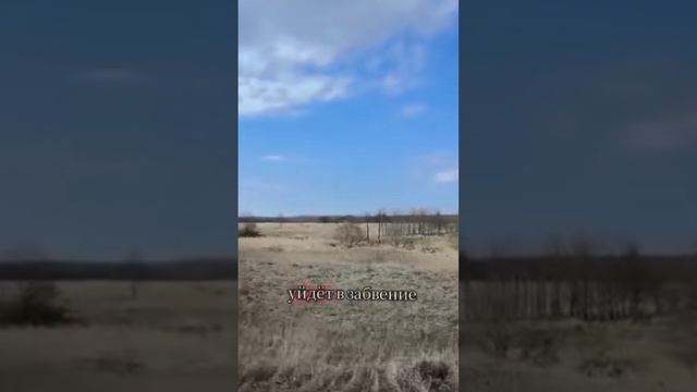 Не упускай счастливые моменты в жизни