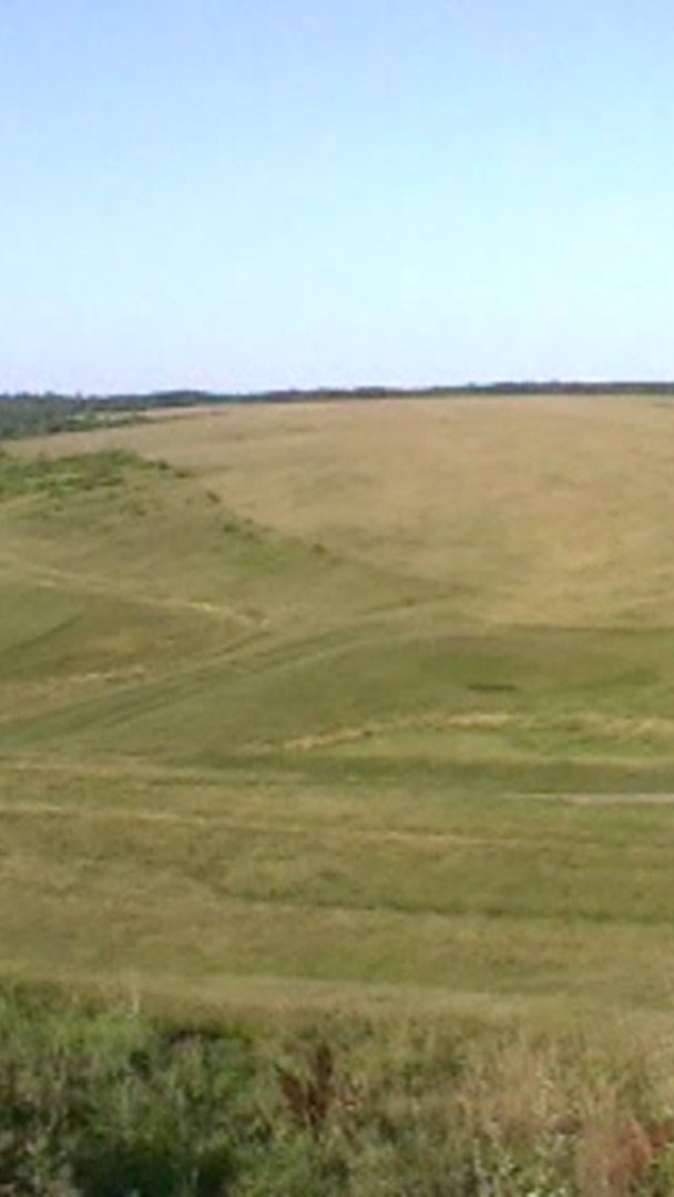 Красивые деревенские поля