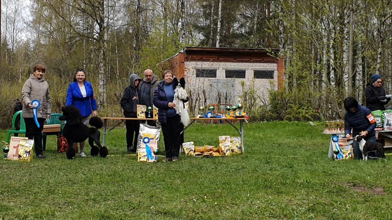 10.05.2025, СПб. "СПбГКСС" (РКФ, РФСС). Выставка собак САС 9 группы FCI