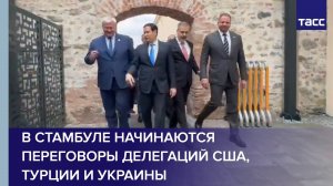 В Стамбуле начинаются переговоры делегаций США, Турции и Украины