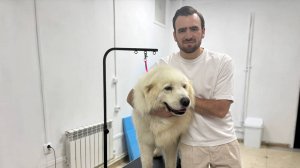Выпускник «Азбуки предпринимателя» масштабирует бизнес