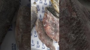 🐟КАК ВЫБРАТЬ СЕВЕРНУЮ РЫБУ?!🐟