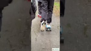 Ты не один, добро не умирает