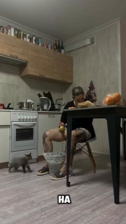 План
