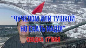 Чучелом или тушкой ехать надо, сводка 17 мая