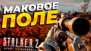 СХОДИЛ НА МАКОВОЕ ПОЛЕ И НАШЕЛ НЕОБЫЧНЫЙ АРТЕФАКТ! STALKER 2 ПРОХОЖДЕНИЕ #2