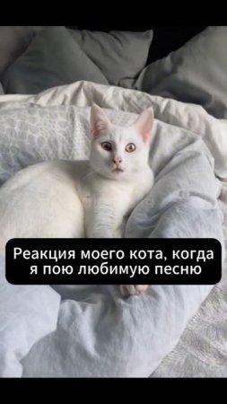 Бывает такое: