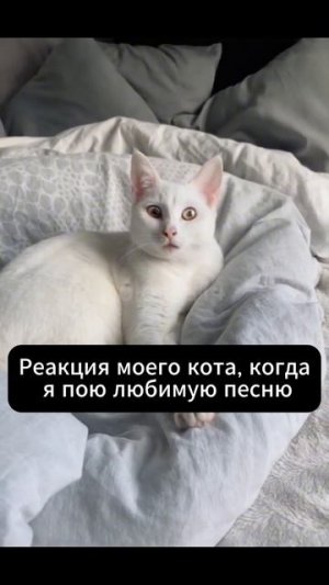 Бывает такое: