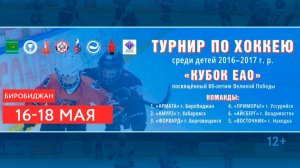 Прямая трансляция с турнира по хоккею "Кубок ЕАО" среди детей 2016 - 2017 ( 3 день)