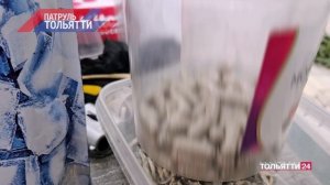 "Патруль Тольятти" 16.05.2025