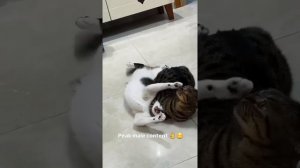 Лучшие приёмы