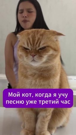 А вы поете своим питомцам?