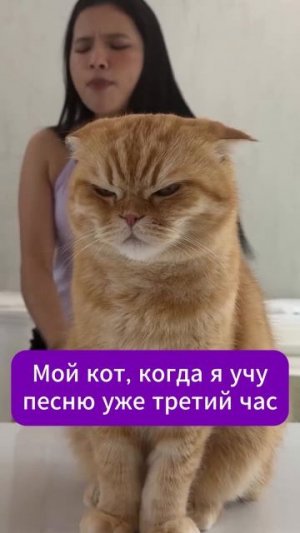А вы поете своим питомцам?
