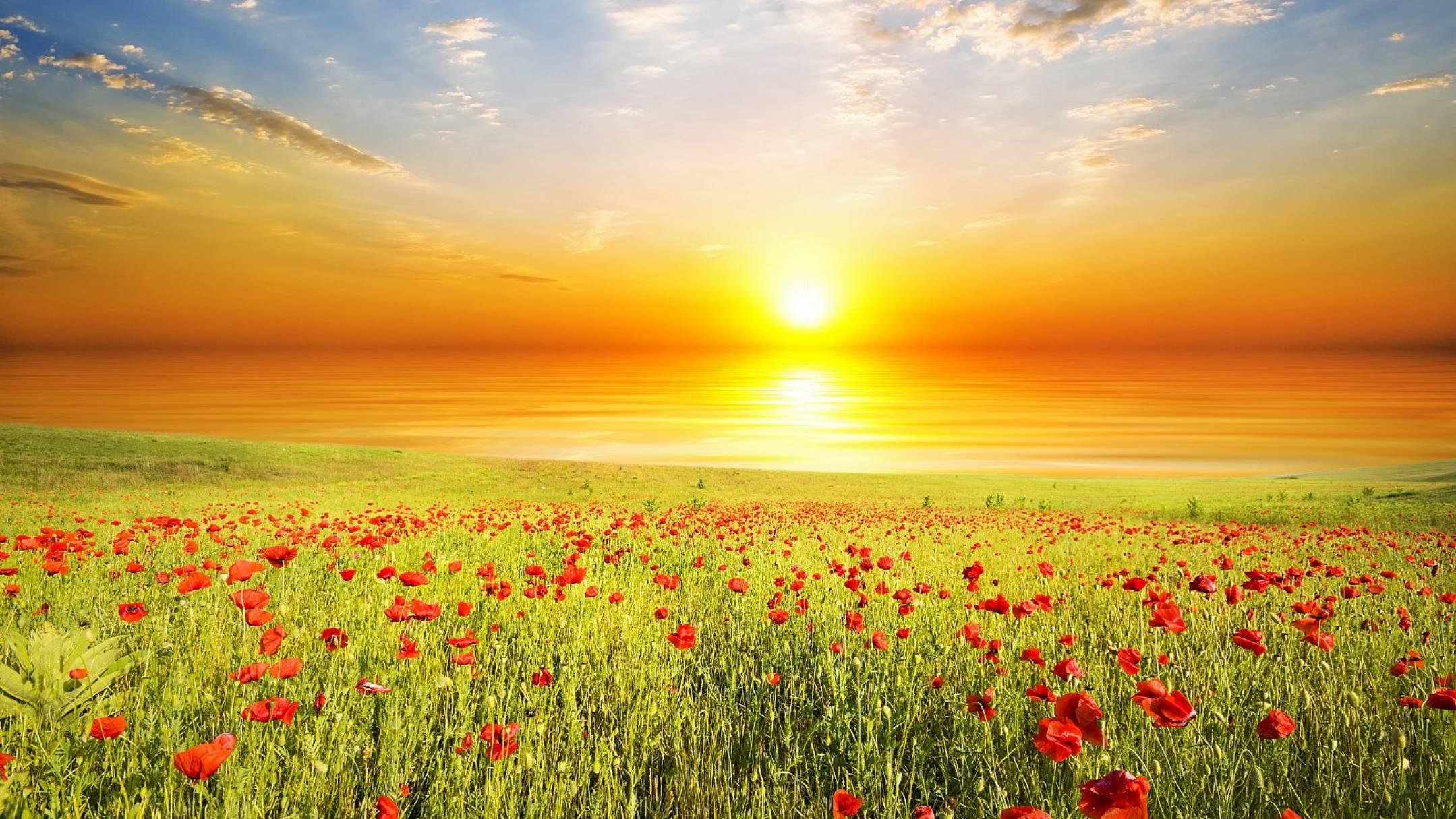 Валентина Рженецкая. Рождение нового дня