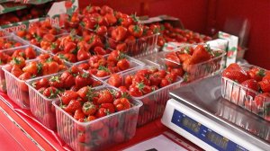 Сезон клубники в Москве. Как весенние заморозки сказались на стоимости ягоды?