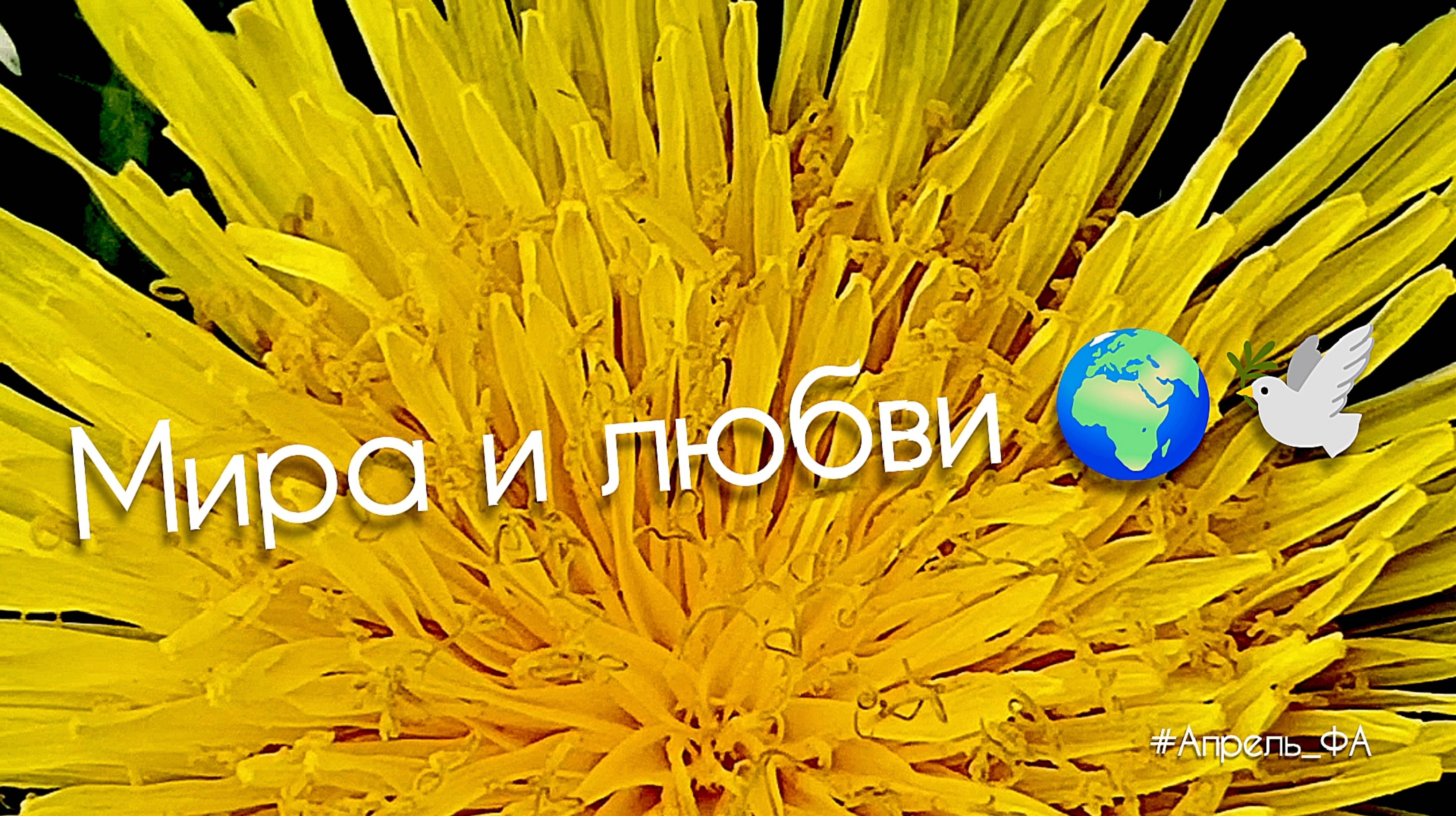 Музыкальный релакс: "Солнышки в траве". Звуки природы