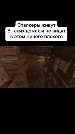 Сталкерское жилище