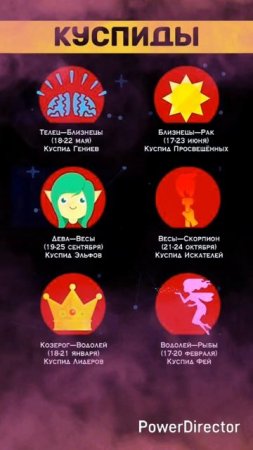 Куспиды