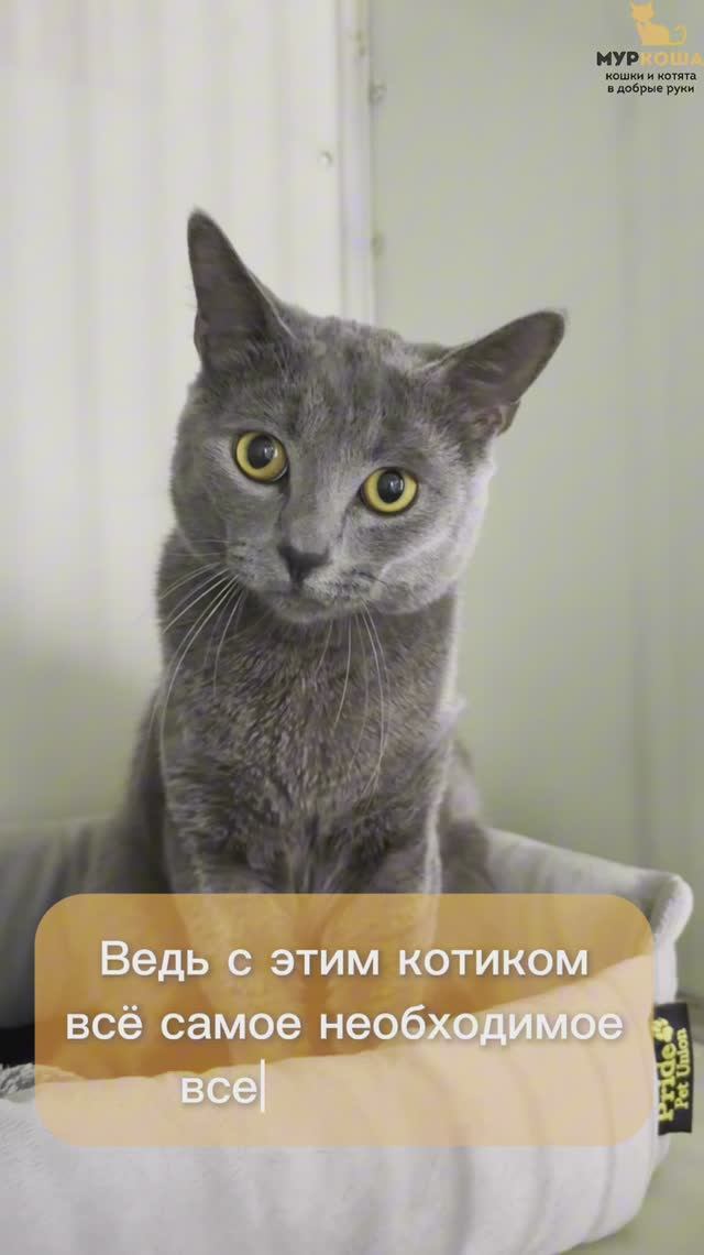 Бардачок (уже дома)