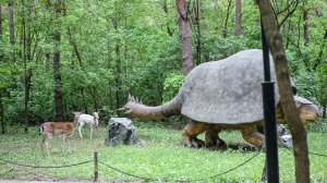 🦕🦌 Динозавры и лани