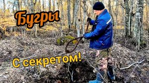 Эти бугры все сигналят! Там зарыто много металла!