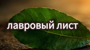 Лавровый лист: секреты, которые ты не знал!