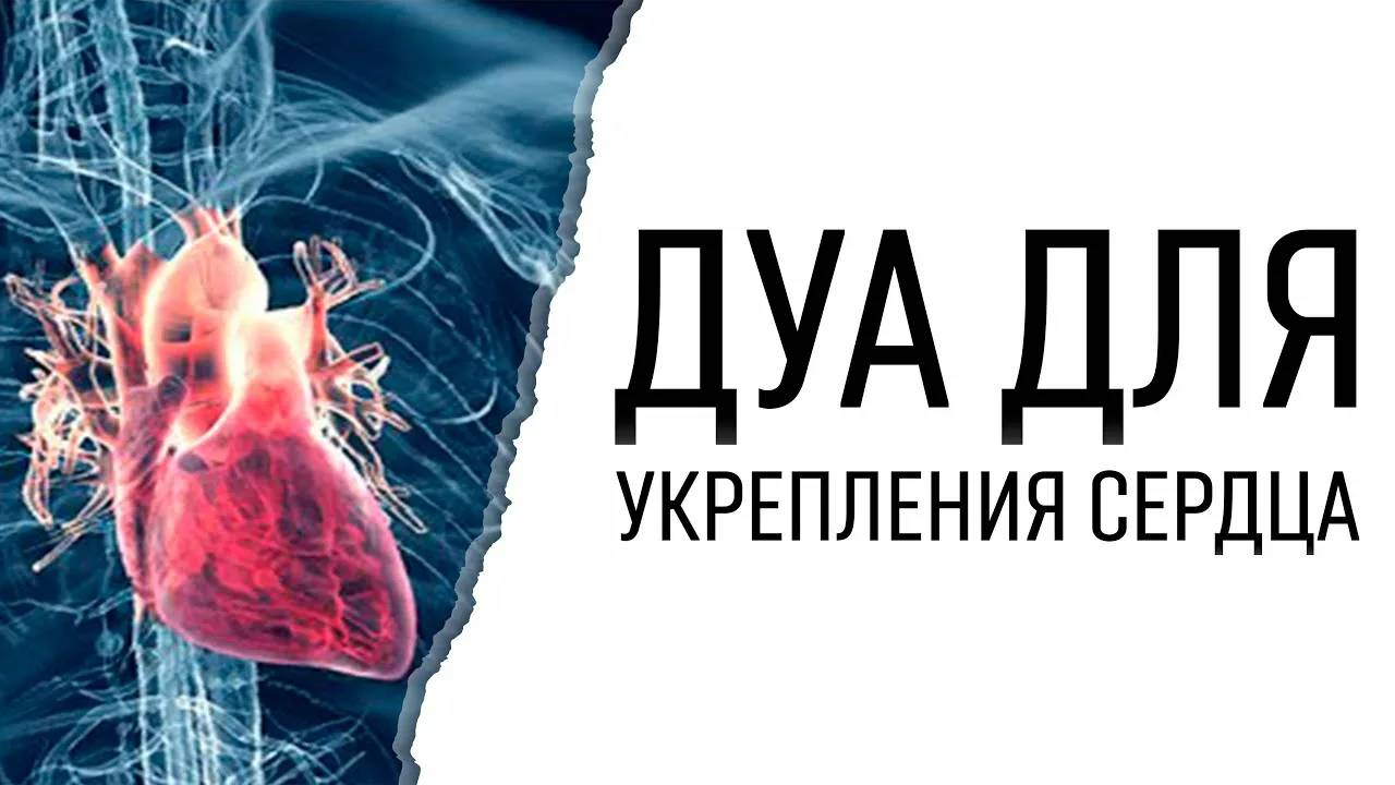 Дуа пророка Мухаммада (ﷺ) | Dua of the Prophet Muhammad (ﷺ)