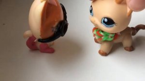 ТОП 5: типичных фраз типичных учителей 😝