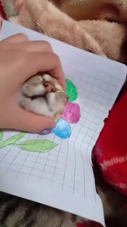 Это для тебя!