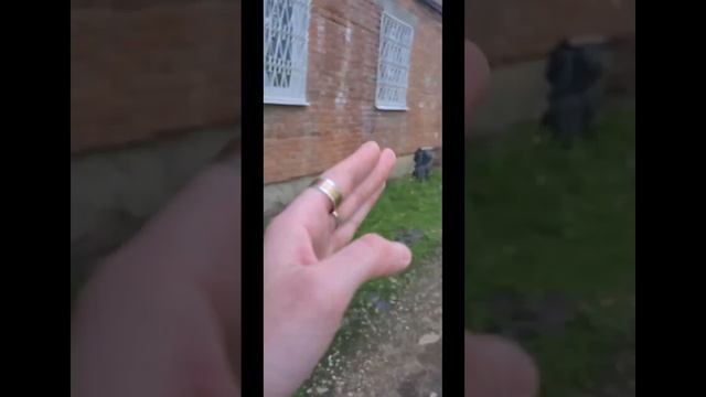 Левитирующий дом